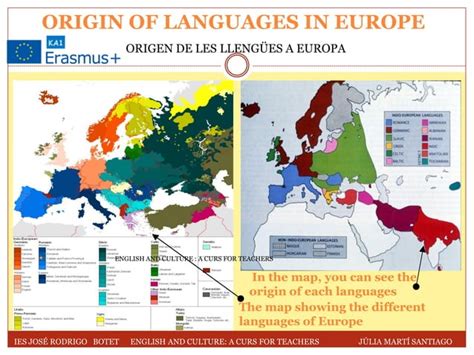 Linguistic Interference Pdf