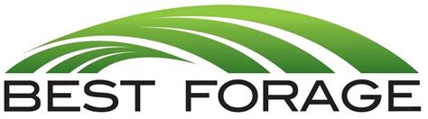 Best Forage Pasture Mixes