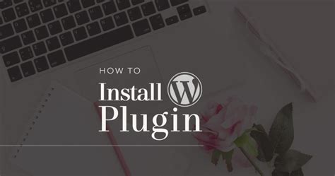 How To Add Plugins In WordPress Designer Blogs