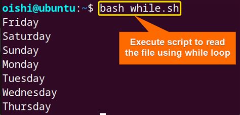 How To Read Files In Bash 4 Methods Linuxsimply