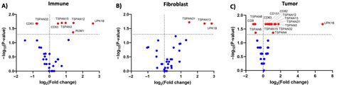 Spatial Transcriptomic Profiling Of Tetraspanins In Stage Colon Cancer From Primary Tumor And