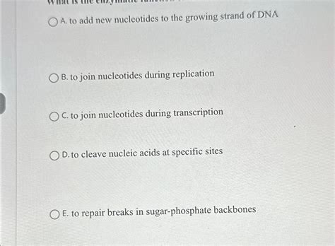 Solved A ﻿to Add New Nucleotides To The Growing Strand Of
