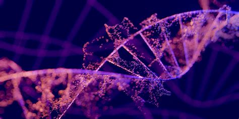 Nucleotide Analysis Shimadzu Europe
