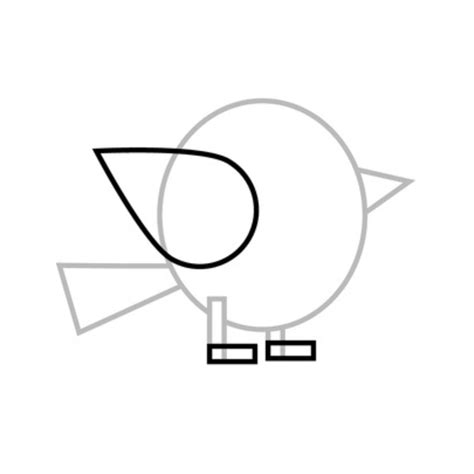 How To Draw A Bird In Easy Steps