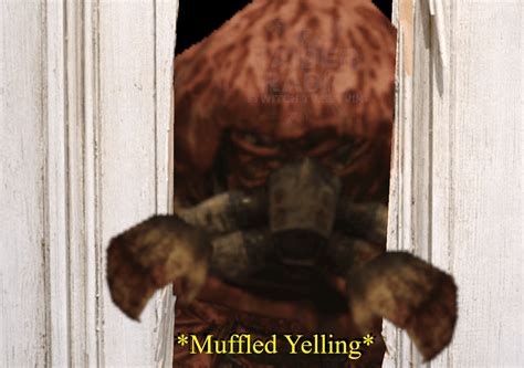 Muffled Meme Rfalloutmemes