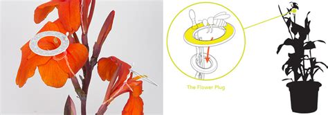 Psx Consultancy Designs Sex Toys For Plants At Bio 50