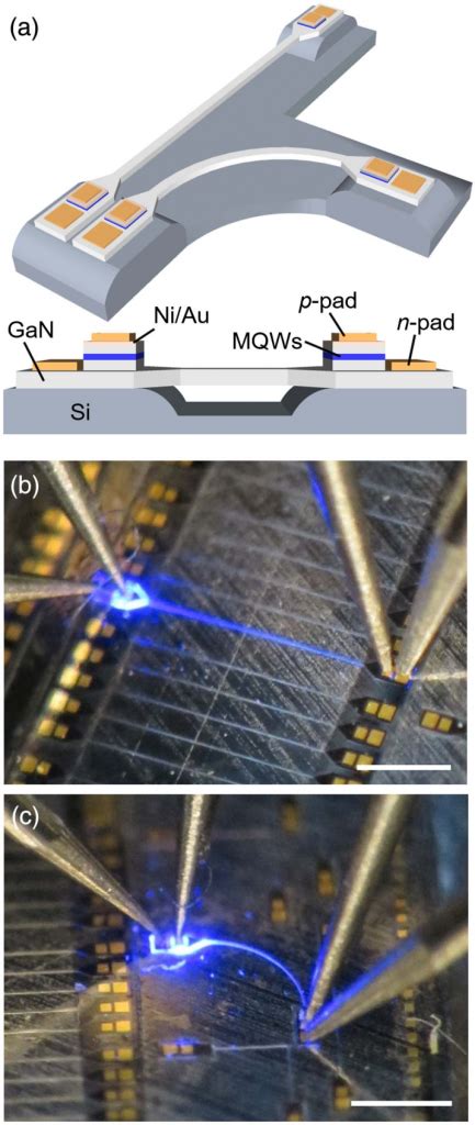 Monolithically Integrated Ingan Gan Light Emitting Diodes Photodetectors And Waveguides On Si