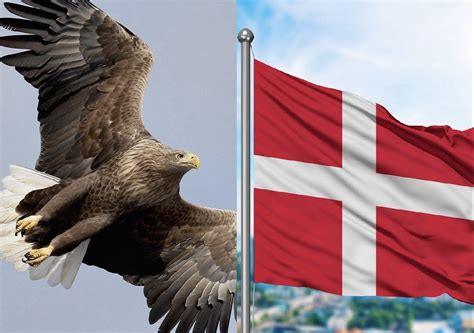 Een Hongerige Jongen Klopt Op De Deur Van Een Lokale Miljardair In Een