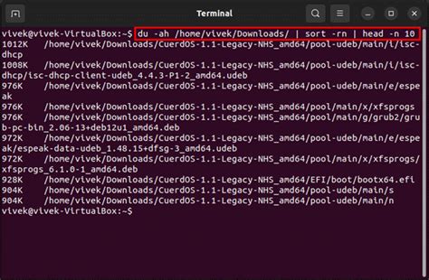 How To Find The Largest Files On Linux Tpoint Tech