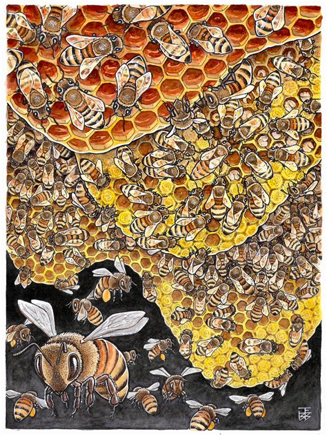 Inside The Hive On Behance