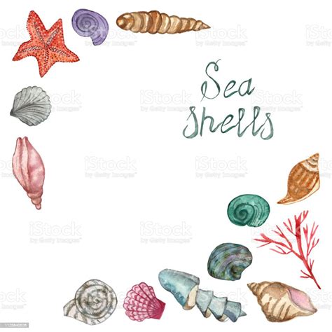 바다 조개의 집합 그린 수채화 서 예 비와 흰색 배경에 고립 손으로 그린 아름 다운 초대 디자인 인사장 포스터 및 가방 불가사리 갑각류에 대한 스톡 벡터 아트 및 기타