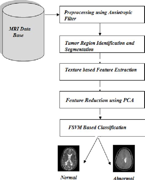 Figure 1 From Brain Tumor Detection And Classification Of Mr Images Using Texture Features And