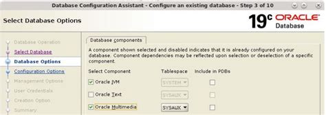 Database Migration From Non Cdb To Pdb The Component Pitfall