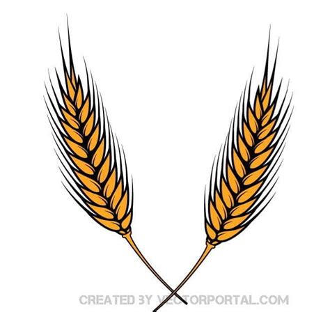 밀의 벡터 이미지 Eps Ai Uidownload