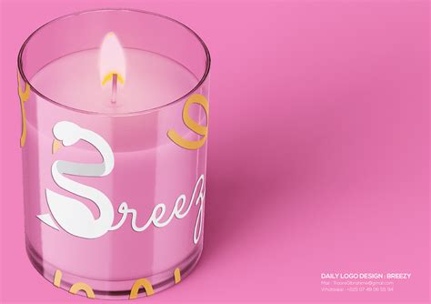 Breezy Logo Design Behance