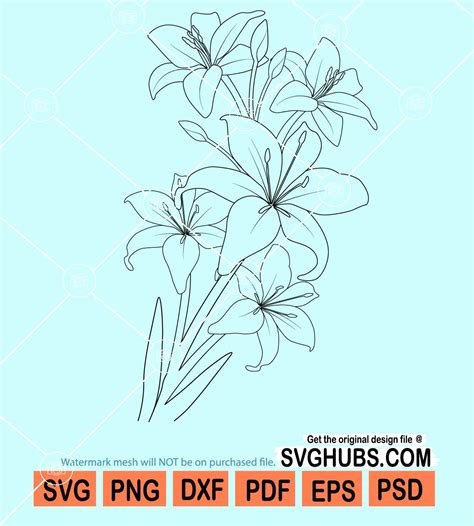 Lily Flower Svg Lily Svg Lilium Flower Svg Floral Svg Beautiful Flower Svg Lily Flower