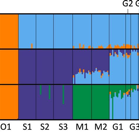admixture plots showing evolutionary clusters across different k