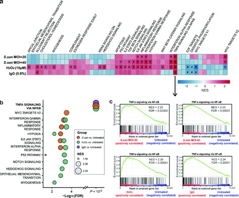 Whole Transcriptome Sequencing Reveals That Streptococcus Sanguinis Download Scientific Diagram