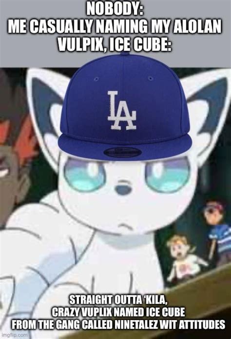 Pokémon Memes