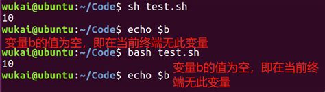 sh脚本文件运行方式和区别 java 启动 sh文件 和 客户端执行sh 区别 csdn博客