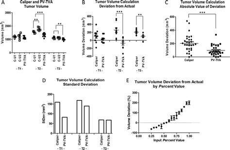 Tumor Volumes For 3 Ht1080 Tumors T1 T2 And T3 As Determined Using