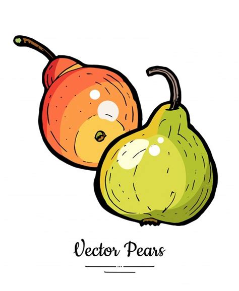 배 과일의 스케치 그림 프리미엄 벡터
