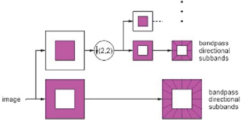 Figure 1 From Contourlet Based Feature Extraction And Classification