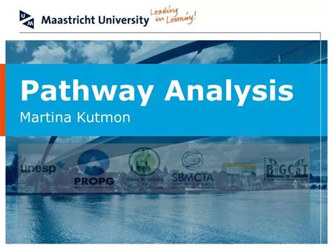Ppt Pathway Analysis Powerpoint Presentation Free Download Id4585549