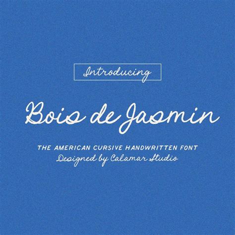 Handwritten Font Calligraphy Font Bundle Script Font Cursive Handwriting Font Etsy