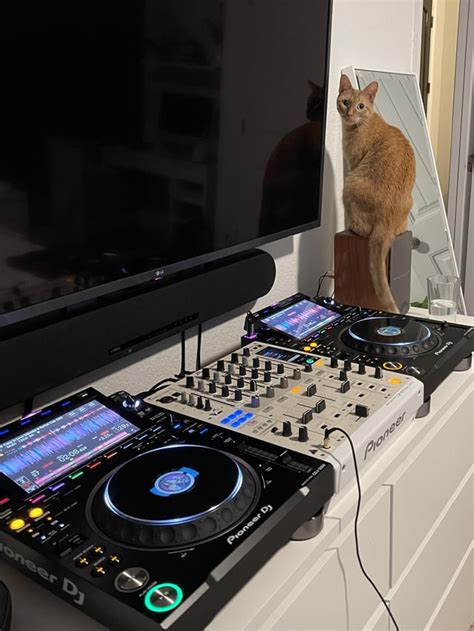 Kitty Really Likes The 3000s Rdjsetups