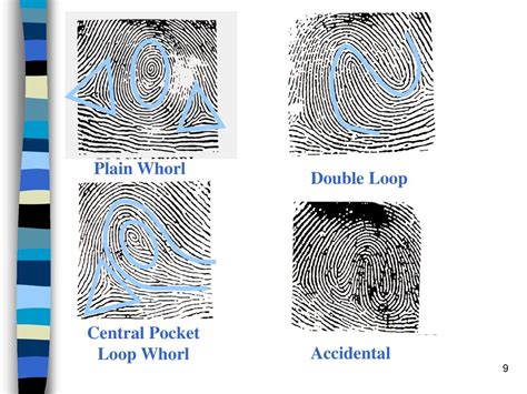 Forensic Fingerprints Ppt Download