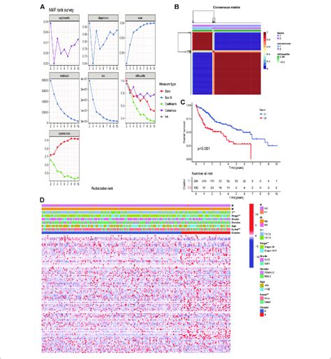 Non Negative Matrix Factorization Of Hcc Molecular Subgroups Based On Download Scientific