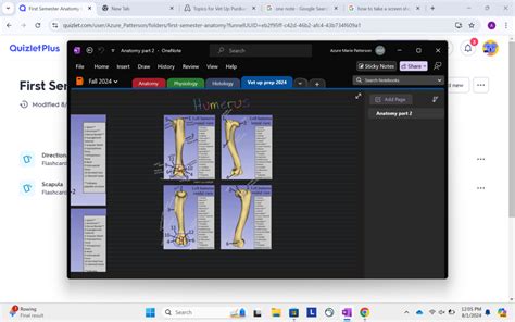 Humerus Diagram Quizlet