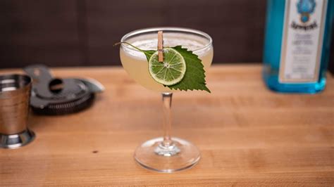 Yuzu Gimlet The Educated Barfly