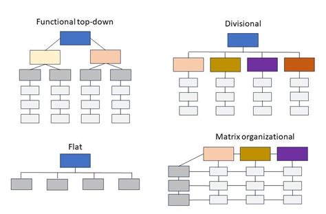 Organizational Sherlocks On Linkedin Functional Divisional