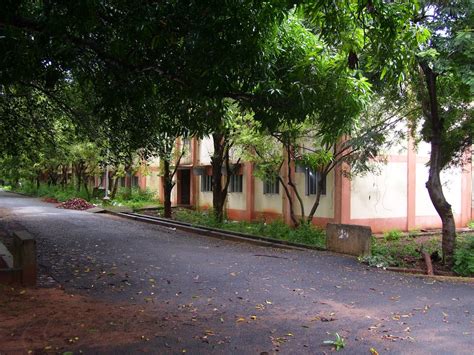 Scribbles Pondicherry Engineering College A Paradise Lost