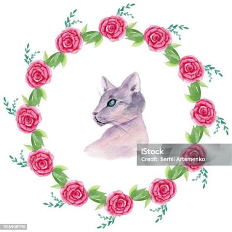 귀여운 고양이와 꽃과 아름다운 수채화 화환 직물 엽서 인사말 카드 책 포스터 티셔츠 배너 엠블럼 기호에 대한 수채화 그래픽 그림 격리된 개체입니다 고양이 새끼에 대한 스톡