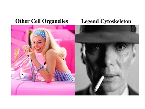 Introduction To Cytoskeleton And Cell Matrix Interaction Ppt