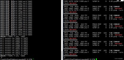 【linux】信号的处理linux信号处理 Csdn博客