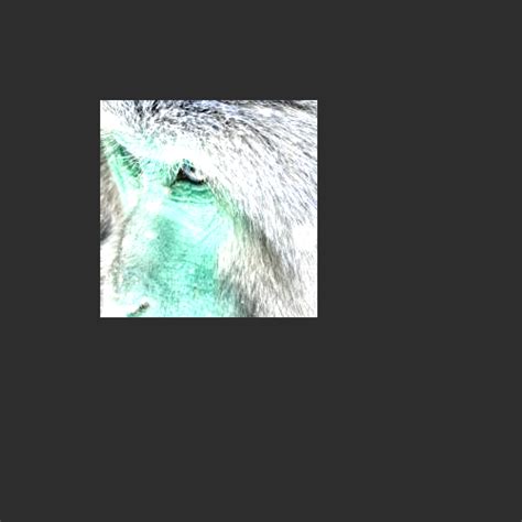 Filterarea Without Interaction Mask · Issue 4468 · Pixijspixijs · Github