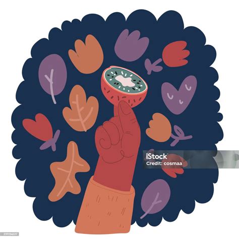 반 신선한 녹색 키위 과일을 들고 여자의 손의 만화 벡터 일러스트 레이 션 갈색에 대한 스톡 벡터 아트 및 기타 이미지 갈색