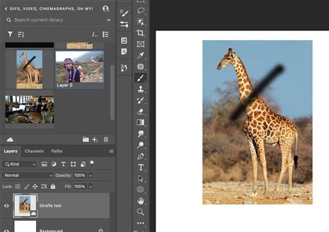 Solved How To Place Linked Photoshop File From Cloud Docu Adobe