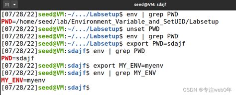 environment variable and setuid seed 的root密码 csdn博客