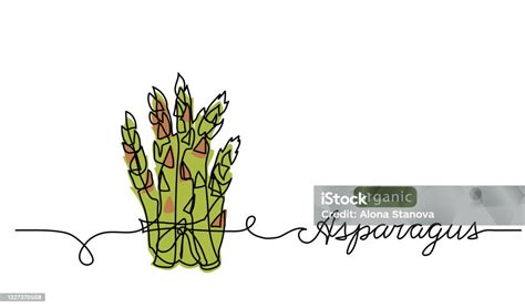 아스파라거스 무리 스케치 벡터 일러스트레이션 배경 문자 화 유기 아스파라거스 무리와 하나의 연속 라인 그리기 아트 일러스트 아스파라거스에 대한 스톡 벡터 아트 및 기타