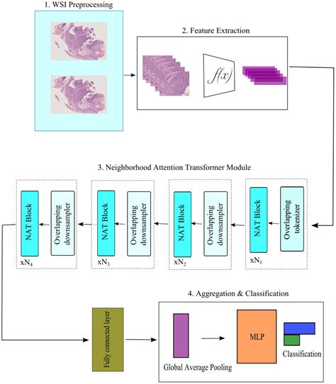 Frontiers Neighborhood Attention Transformer Multiple Instance