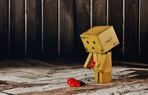 Lucky Guy Bug Good Luck Free Photo On Pixabay Pixabay