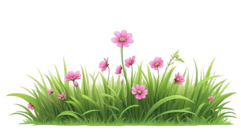 Grass And Flower Summer Grass Clipart 45802439 Png