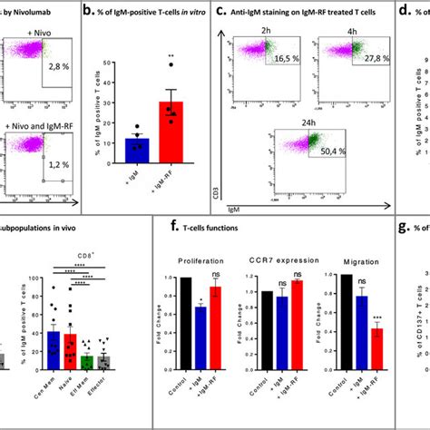 Impact Of The Percentage Of Cd137 T Cells At Baseline On Pfs And Os Download Scientific
