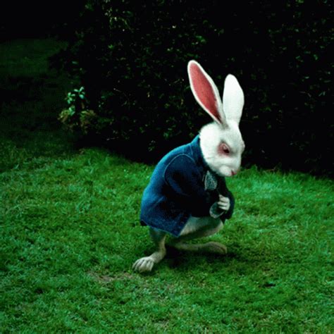 Alice In Wonderland White Rabbit Clock  500×500 Alice In