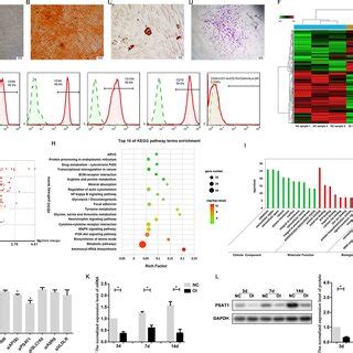 Microarray And Bioinformatics Analyses For Differentially Expressed Download Scientific Diagram